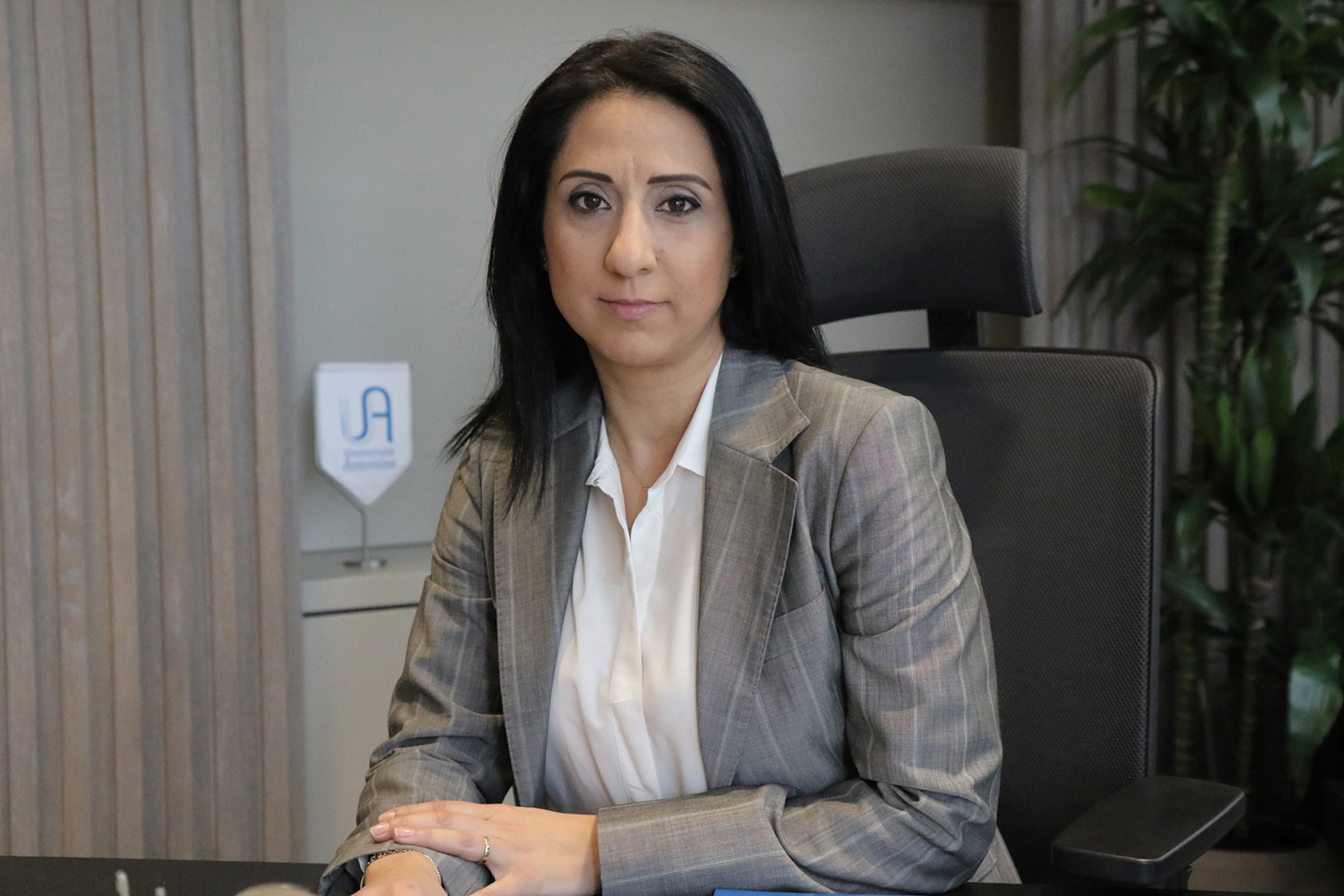 Appointment of Dr. Elizabeth Sfeir as Faculty Representative at the UA ...